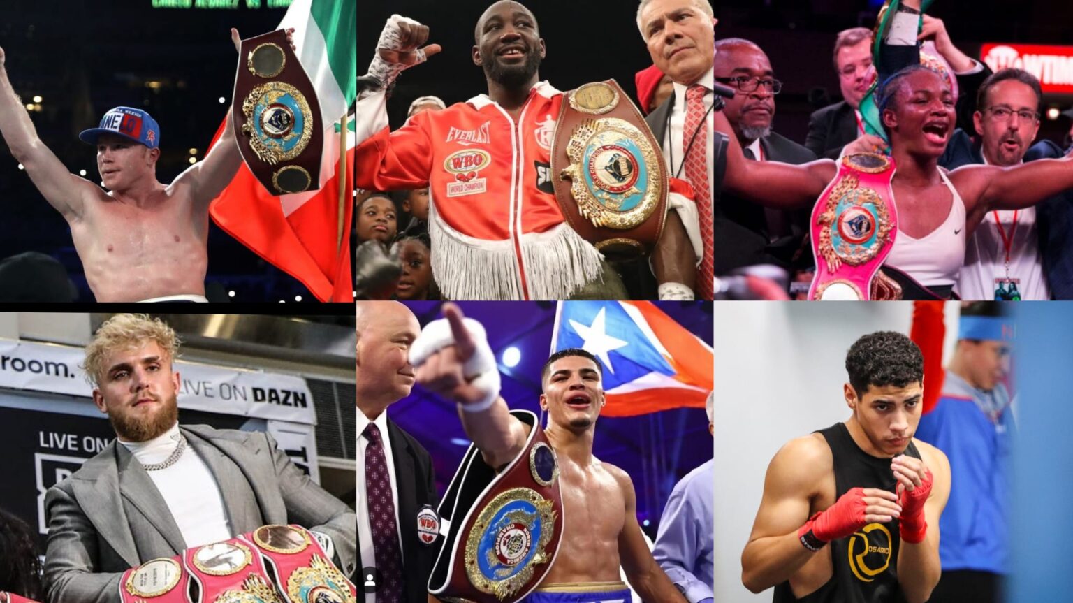 TUNE-IN WBO JABS PODCAST: The panel discusses Canelo/Crawford, Jake ...